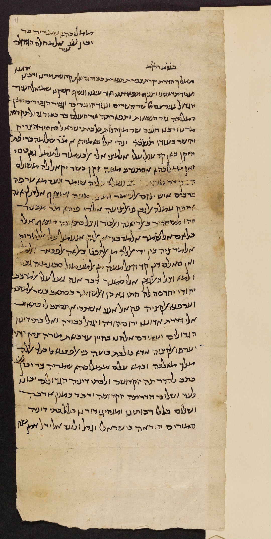 Letter: Bodl. MS heb. b 11/11