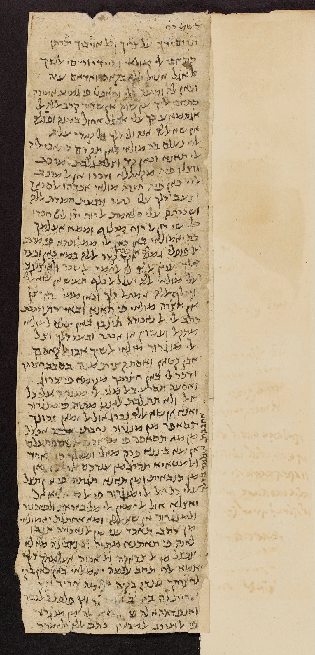 Letter: Bodl. MS heb. b 11/22