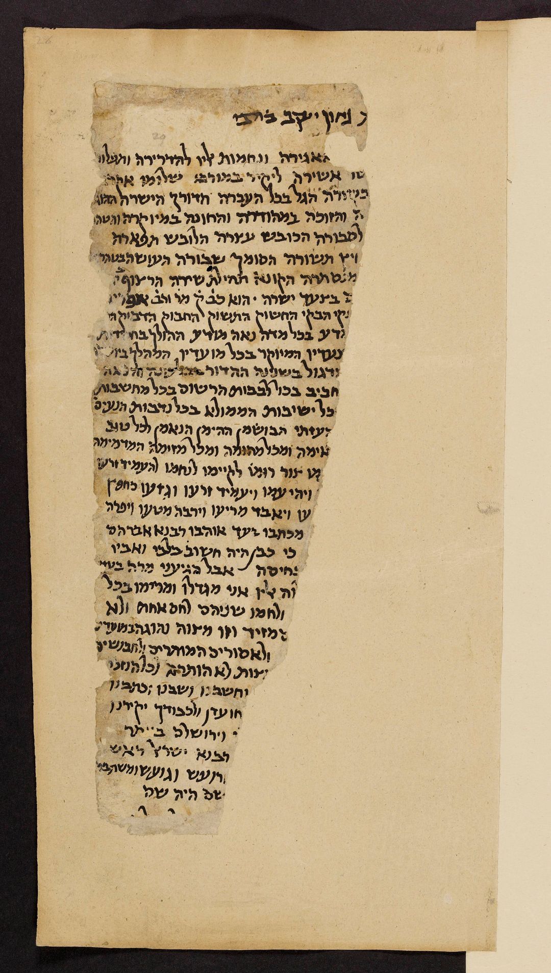 Letter: Bodl. MS heb. b 11/28