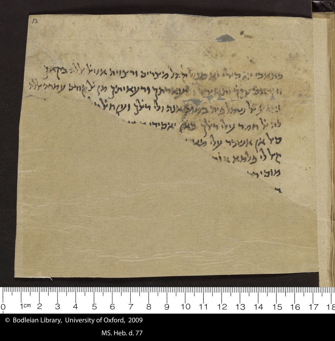 Letter: Bodl. MS heb. d 77/12